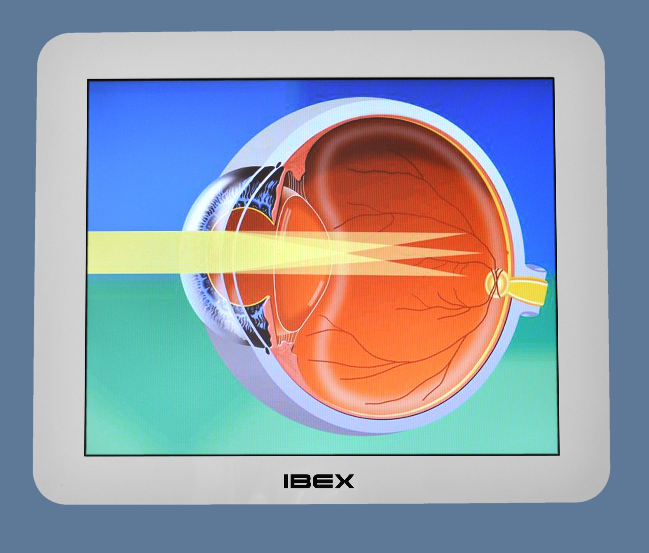 acuity-chart-ibex-lcd-vision-acuity-chart-system-ibexeye
